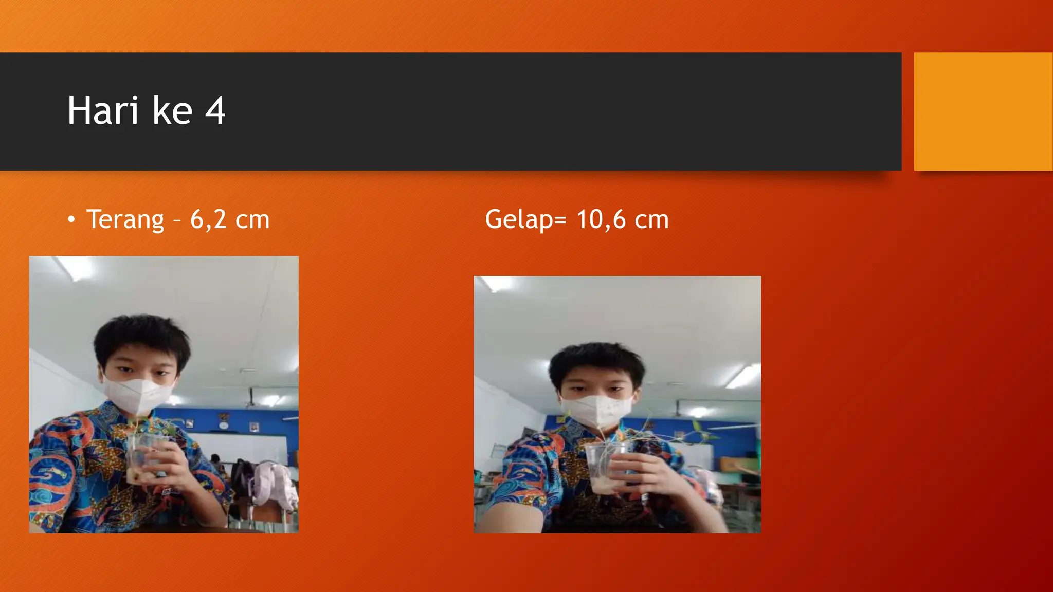 Tugas Kecamba Fisika.pptx