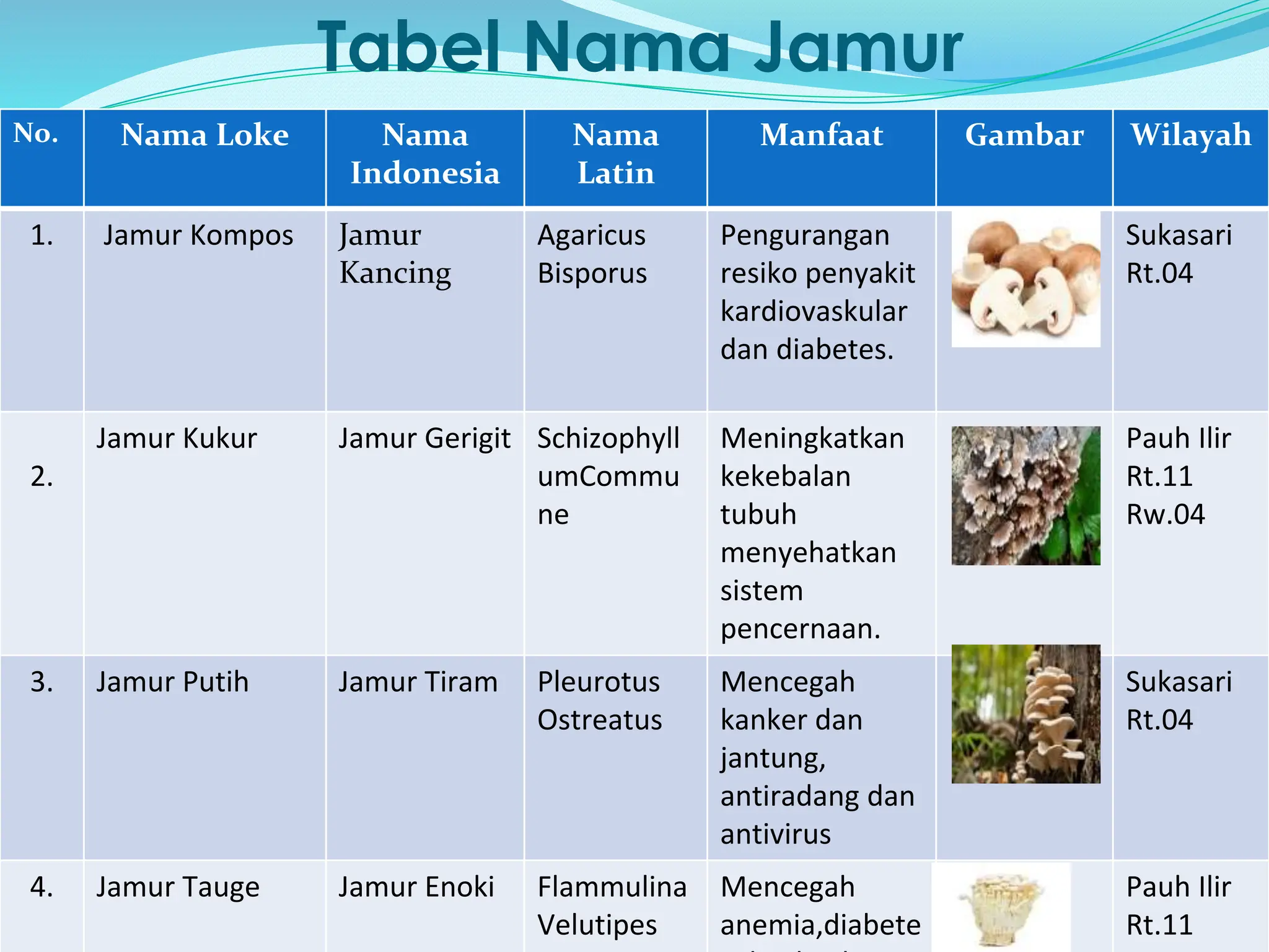 Tugas Kel. 2 JAMUR.pptx SMA NEGERI 1 SAROLANGUN | PPTX