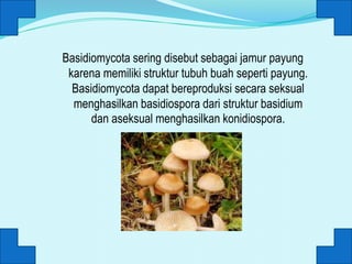 Tugas Kel. 2 JAMUR.pptx SMA NEGERI 1 SAROLANGUN | PPTX