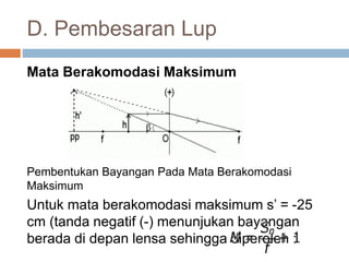 Alat Optik (LUP) | PPTX