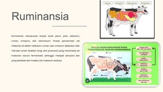 TUGAS KELOMPOK 1 - FISIOLOGI NUTRISI.pptx