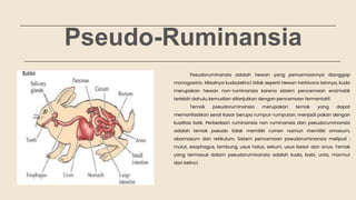 TUGAS KELOMPOK 1 - FISIOLOGI NUTRISI.pptx