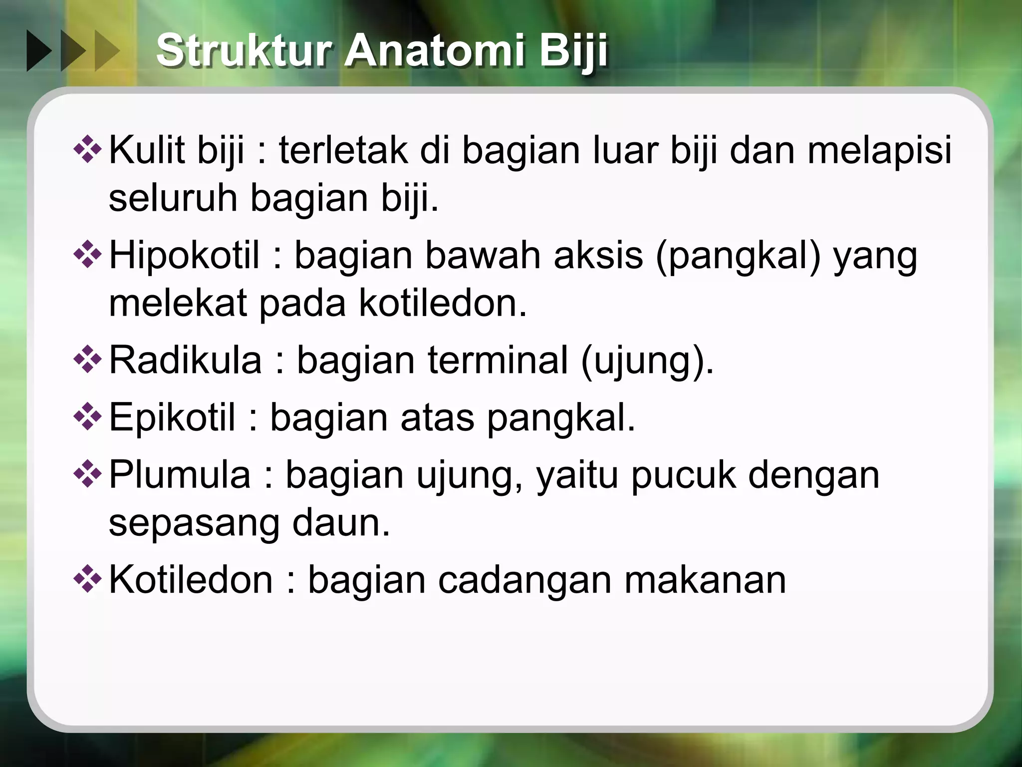 Struktur Biji dan Bagian-bagiannya | PPTX