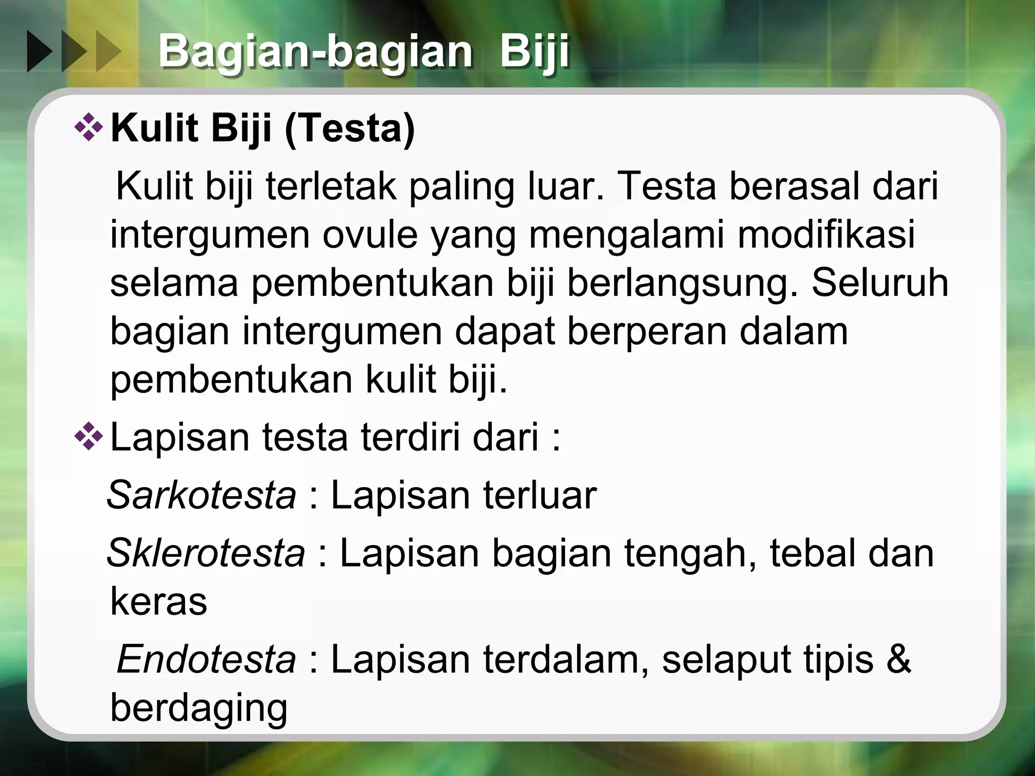 Struktur Biji dan Bagian-bagiannya | PPTX