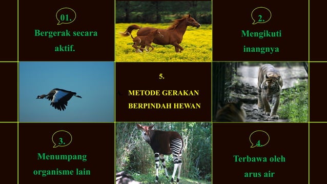 TUGAS KELOMPOK 3 BIOGEOGRAFI persebaran fauna dan flora di dunia.pptx