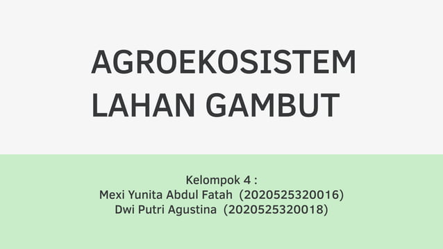 Tugas Kelompok 4_Agroekosistem Lahan Gambut.pptx
