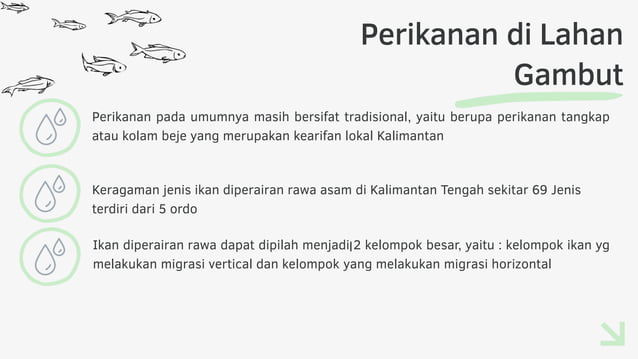 Tugas Kelompok 4_Agroekosistem Lahan Gambut.pptx