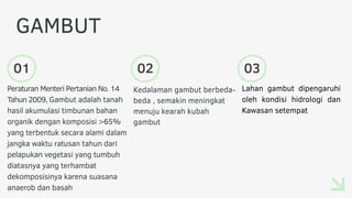 Tugas Kelompok 4_Agroekosistem Lahan Gambut.pptx