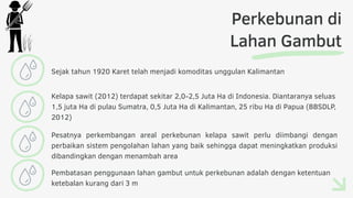 Tugas Kelompok 4_Agroekosistem Lahan Gambut.pptx
