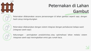 Tugas Kelompok 4_Agroekosistem Lahan Gambut.pptx