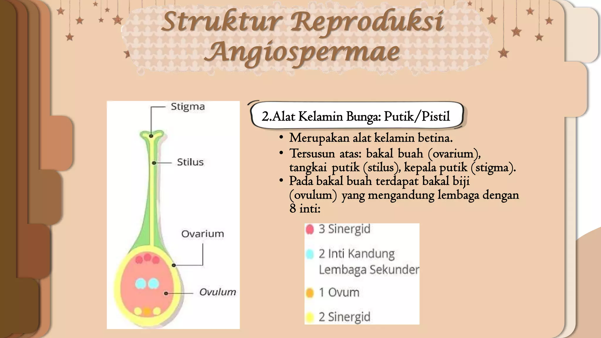 Tugas Kelompok Biologi_Oryza Sativa.pptx