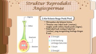 Tugas Kelompok Biologi_Oryza Sativa.pptx