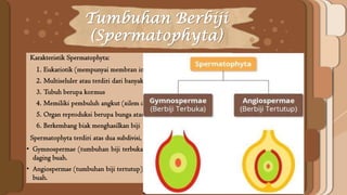 Tugas Kelompok Biologi_Oryza Sativa.pptx