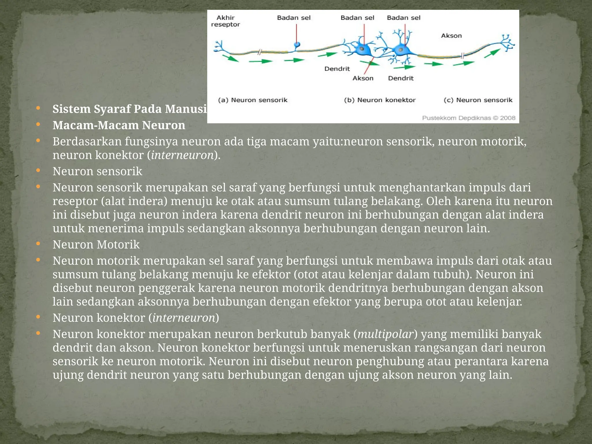 Sistem Saraf Manusia , menjelaskan sistem neuron dan impuls | PPTX
