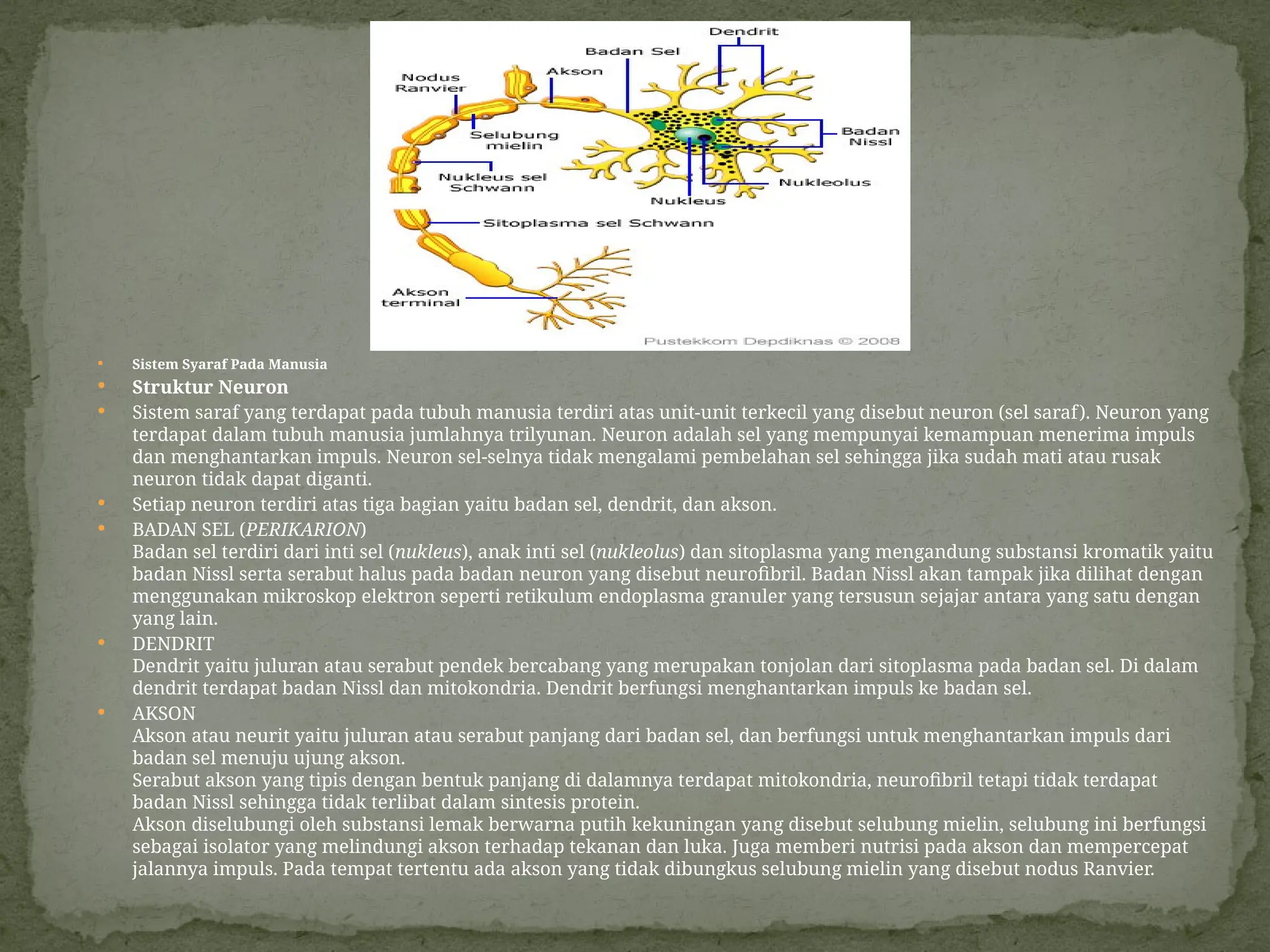 Sistem Saraf Manusia , menjelaskan sistem neuron dan impuls | PPT