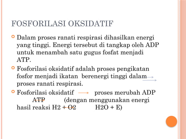 Tugas Siklus metabolisme lemak dan minyak | PPT