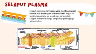 Tugas Kelompok P5 Mandiri.pptx