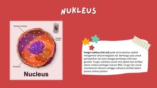 Tugas Kelompok P5 Mandiri.pptx