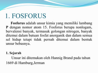 Tugas kimia fosforus dan asam sulfat | PPTX