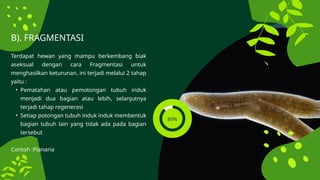 Perkembangbiakan Pada Hewan merupakan contoh power point tugas belajar ...