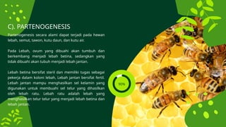 Perkembangbiakan Pada Hewan merupakan contoh power point tugas belajar ...