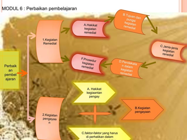 Tugas kurikulum pembelajaran lia muliasih 2B | PPT