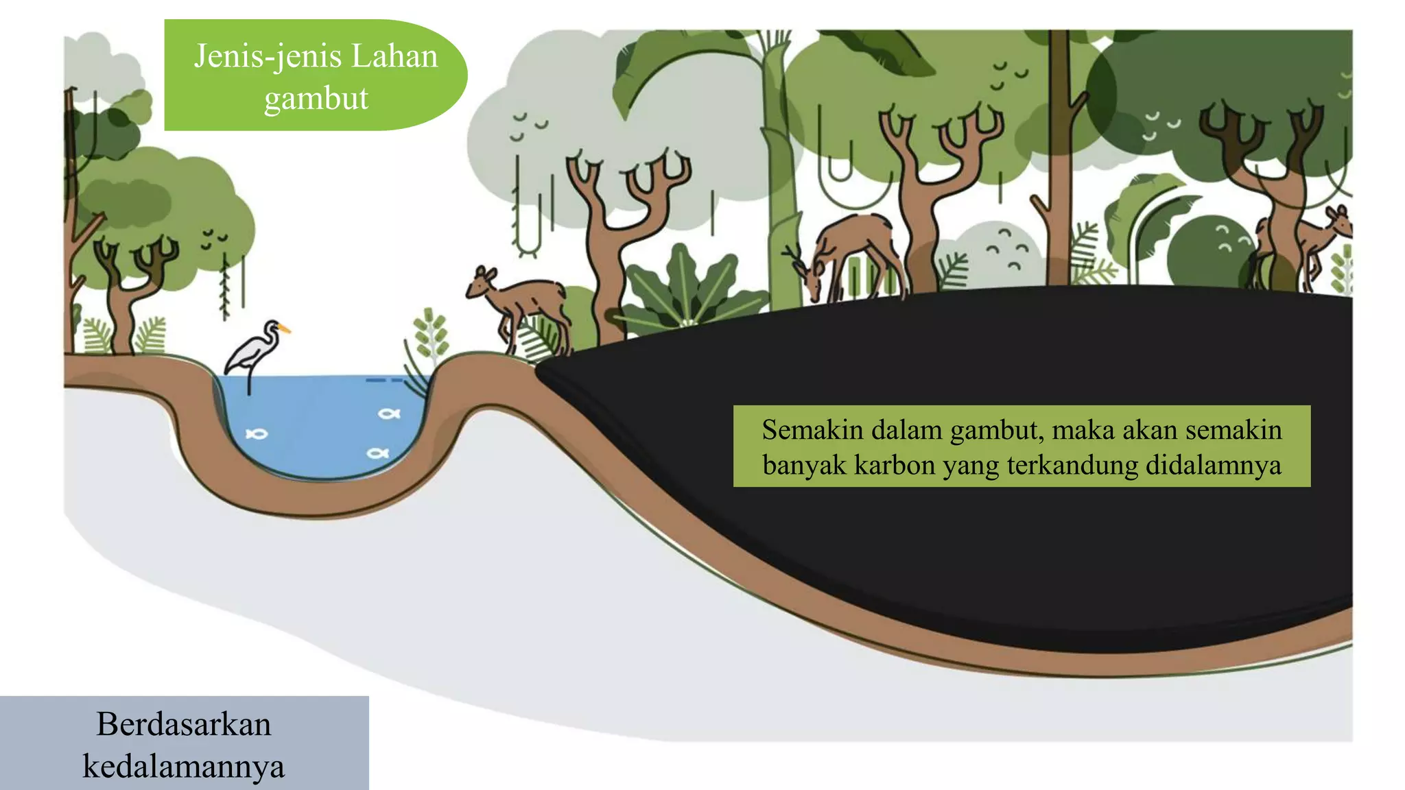PELESTARIAN SUMBERDAYA LAHAN GAMBUT | PPT
