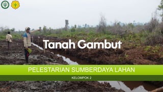 PELESTARIAN SUMBERDAYA LAHAN GAMBUT | PPTX