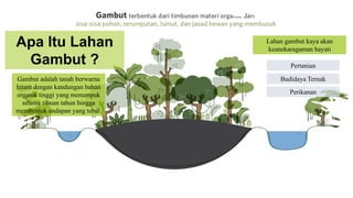 PELESTARIAN SUMBERDAYA LAHAN GAMBUT | PPTX