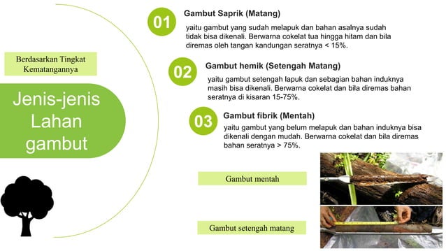 PELESTARIAN SUMBERDAYA LAHAN GAMBUT | PPTX