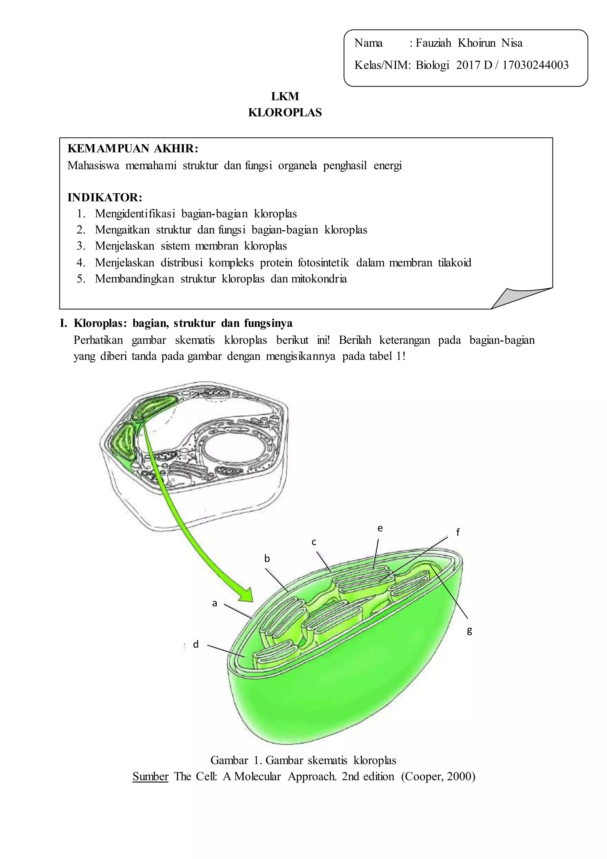 LKM Biologi Sel: Kloroplas | DOC