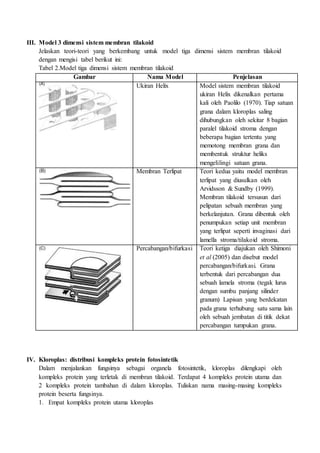 LKM Biologi Sel: Kloroplas | PDF