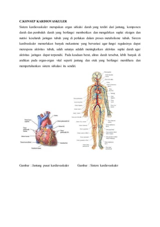 Tugas makalah anatomi cardiovaskular natasya | DOCX