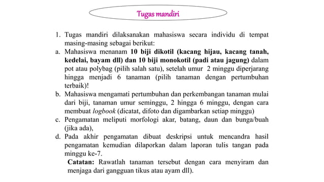 Tugas Mandiri.pptx