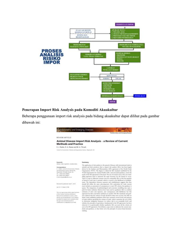 IMPORT RISK ANALYSIS.pdf