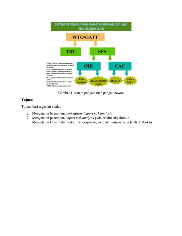 IMPORT RISK ANALYSIS.pdf