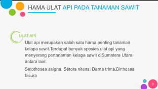 Tugas Materi Penyuluhan.pptx