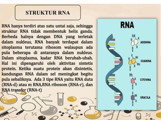 Tugas Media Pembelajaran Materi Genetik (Fatimah Nuruttahirah ...