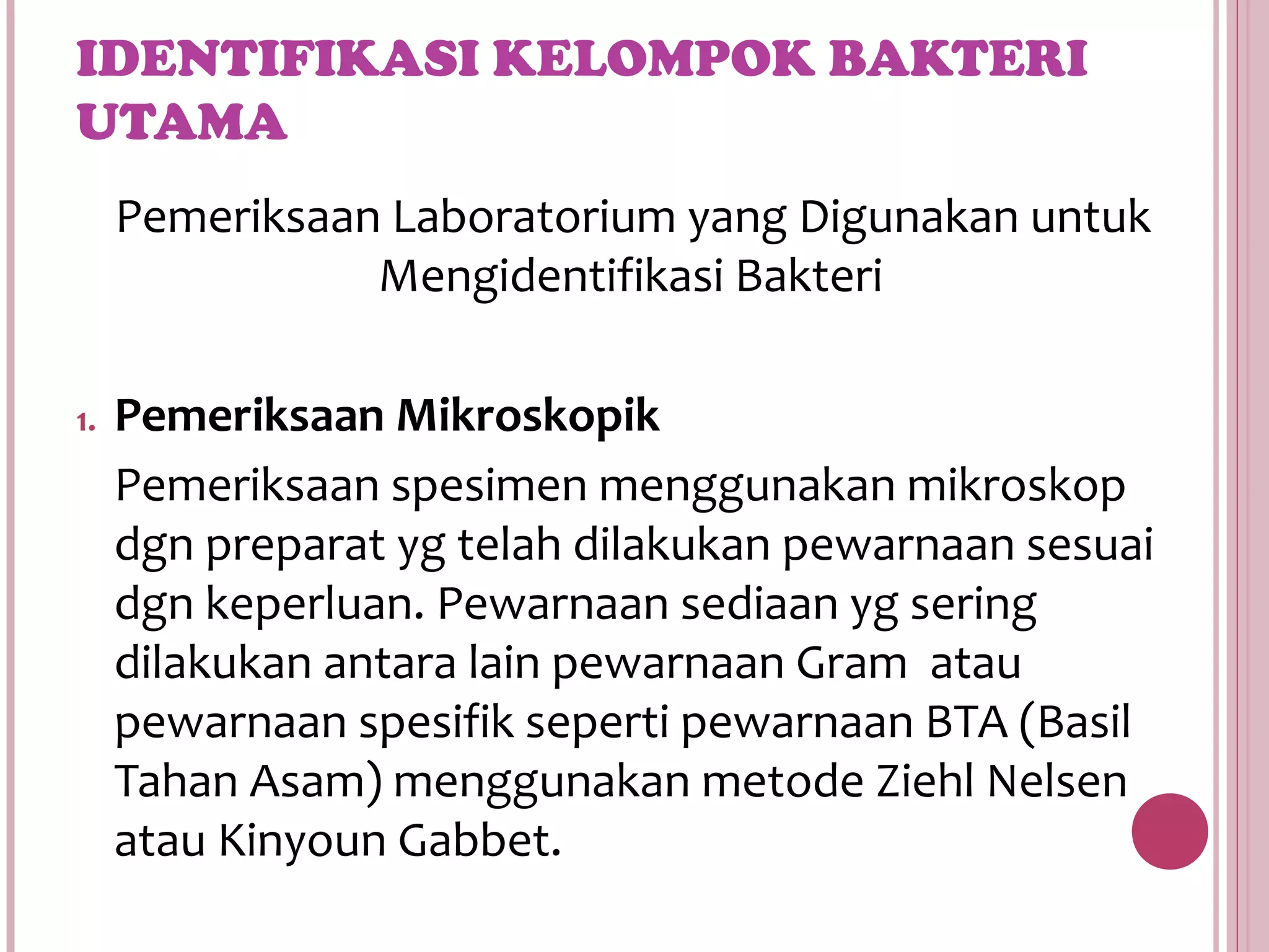 Mikrobiologi Bakteri | PPT