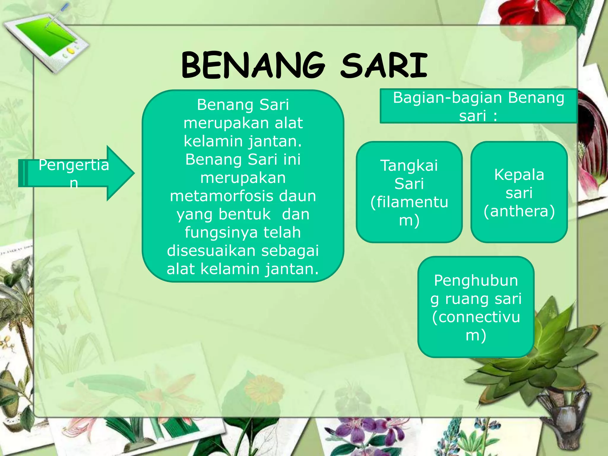 bagian-bagian bunga | PPTX