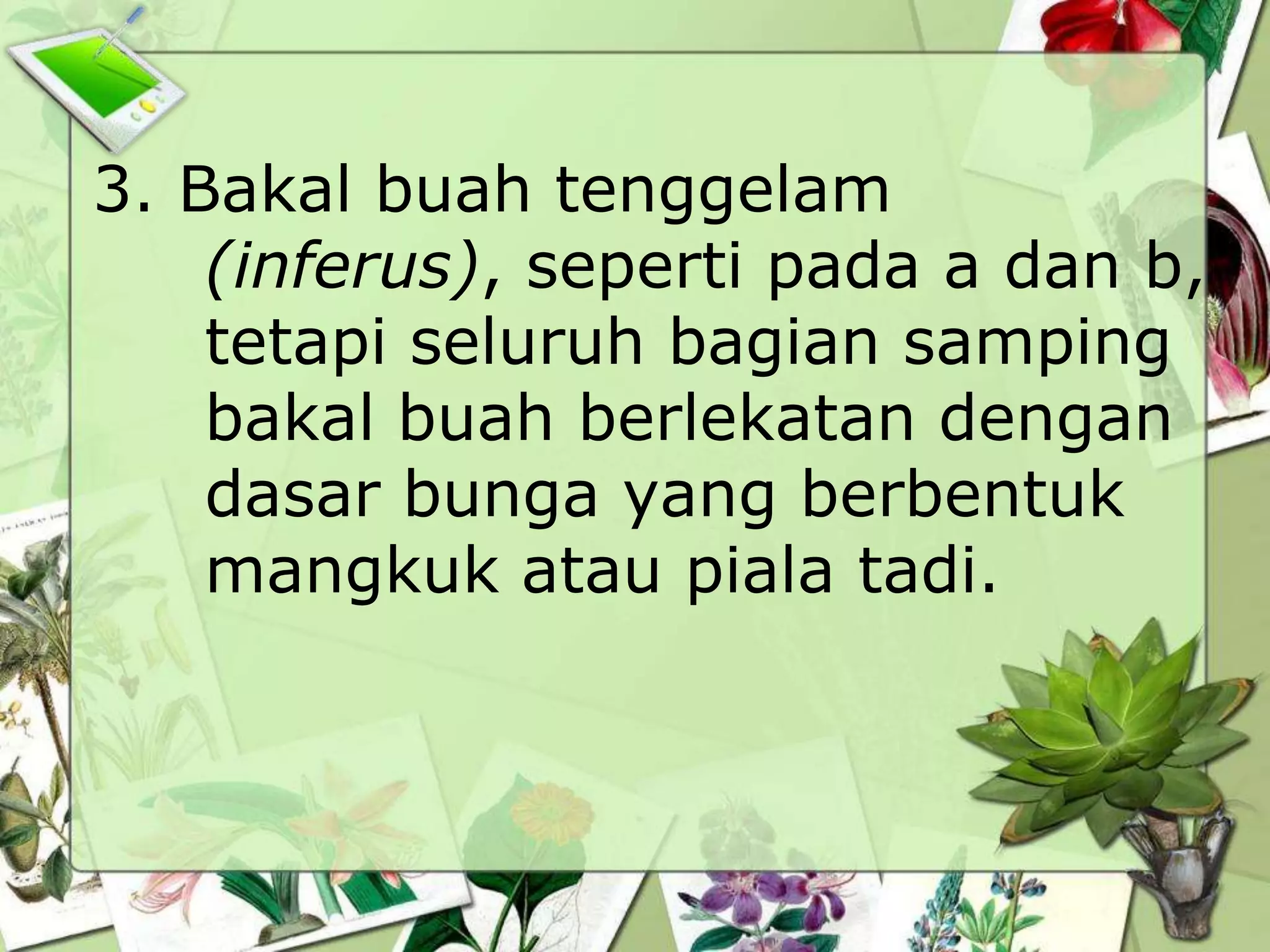 bagian-bagian bunga | PPTX