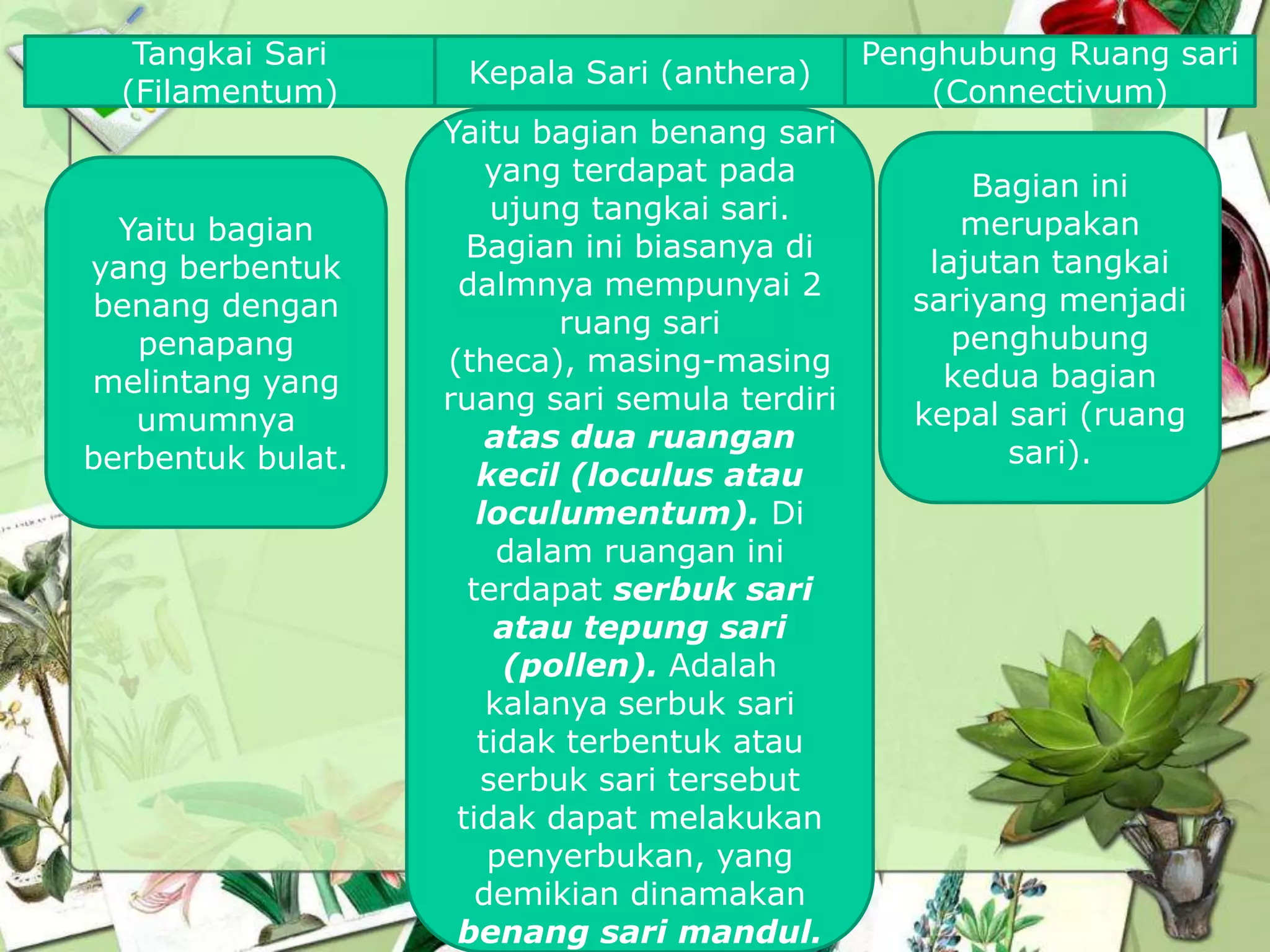 bagian-bagian bunga | PPTX