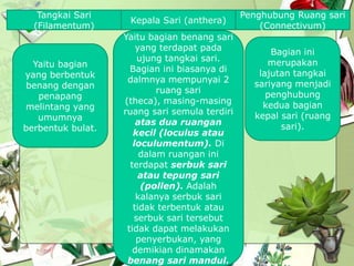 bagian-bagian bunga | PPTX