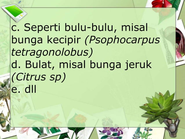 bagian-bagian bunga | PPTX