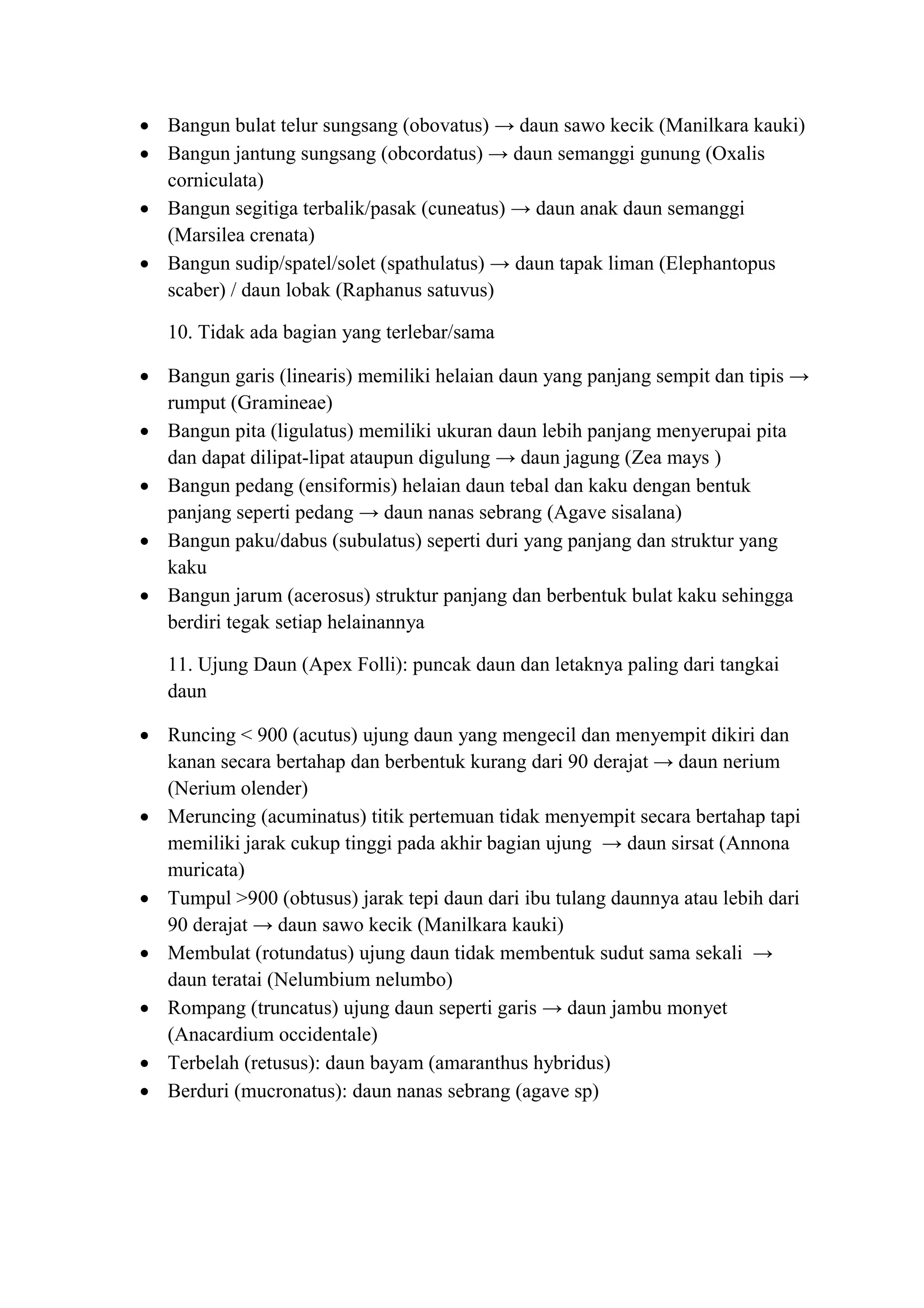 Morfologi Tumbuhan Daun | PDF