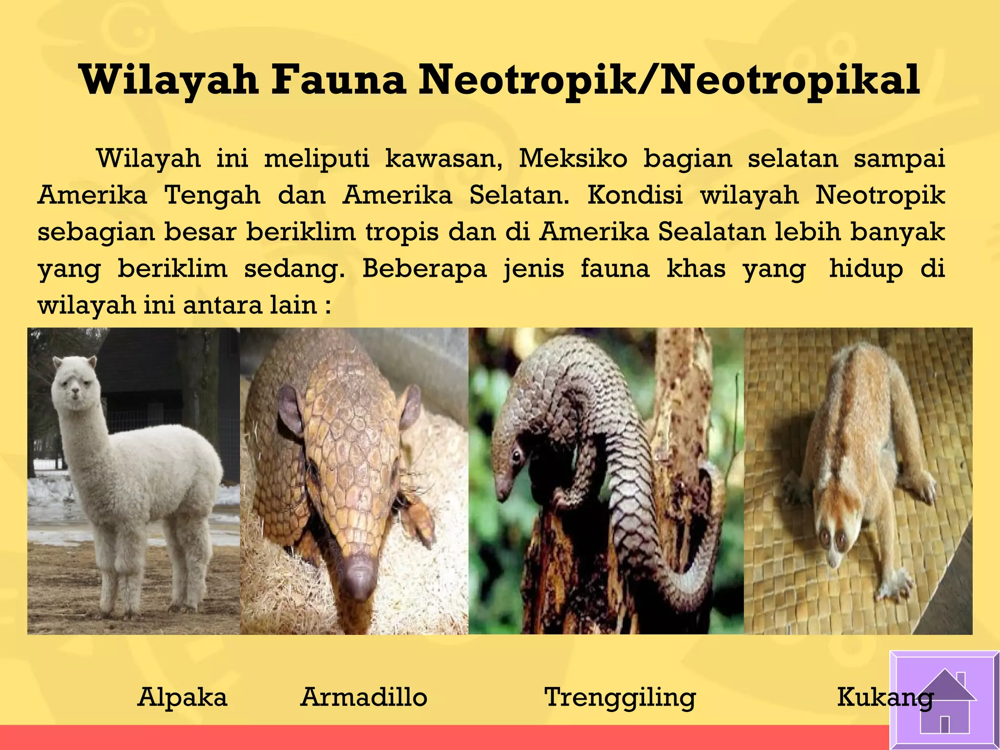 Tugas mpg ppt [opilona badriyah 1003020] | PPT