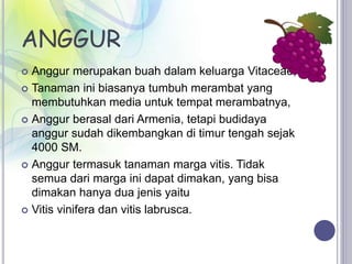 Anggur untuk Obat Kanker | PPTX