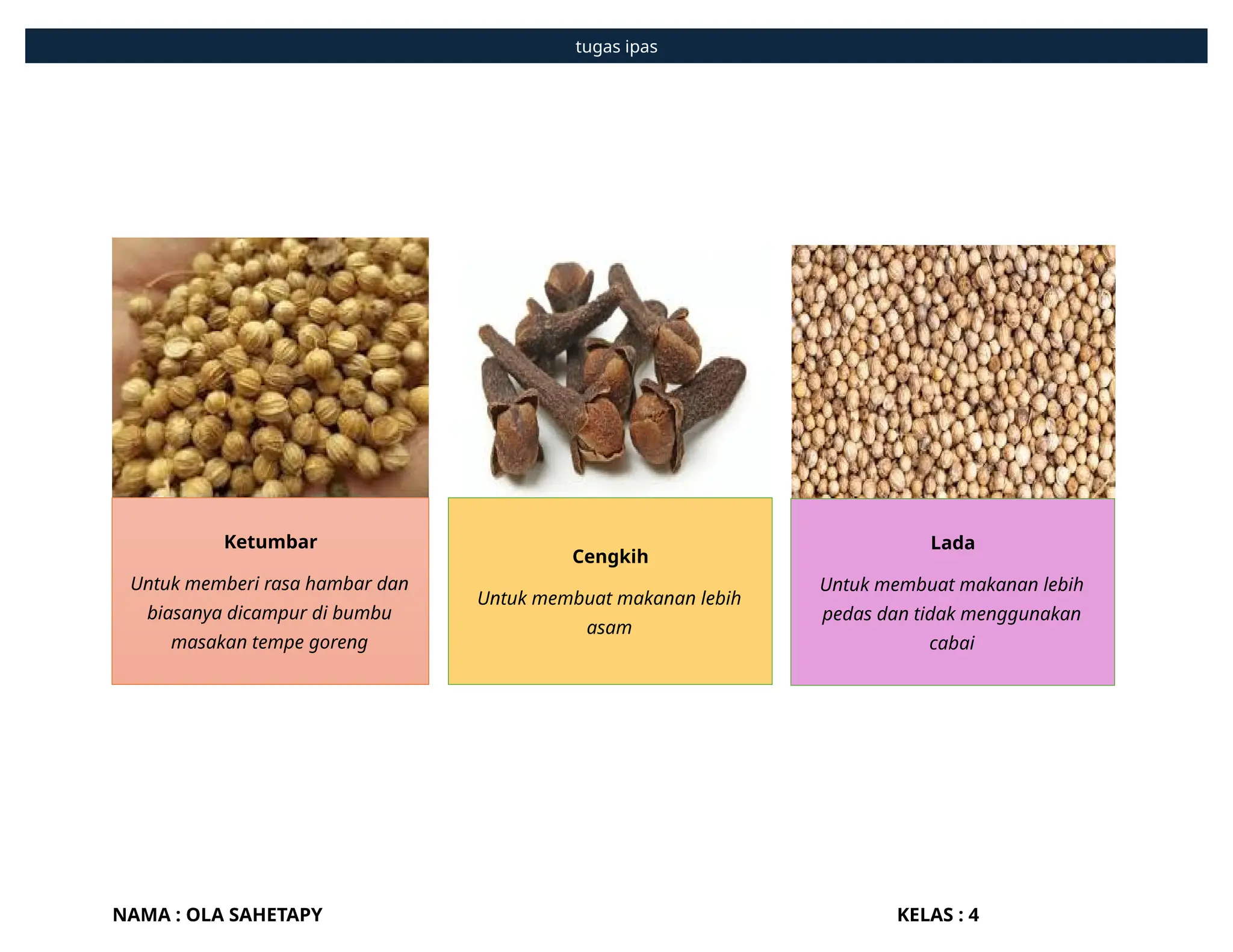 Tugas Kelas 4 SD tentang Pahlawan Nasional.docx