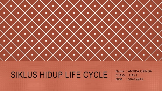 siklus data life cycle | PPT