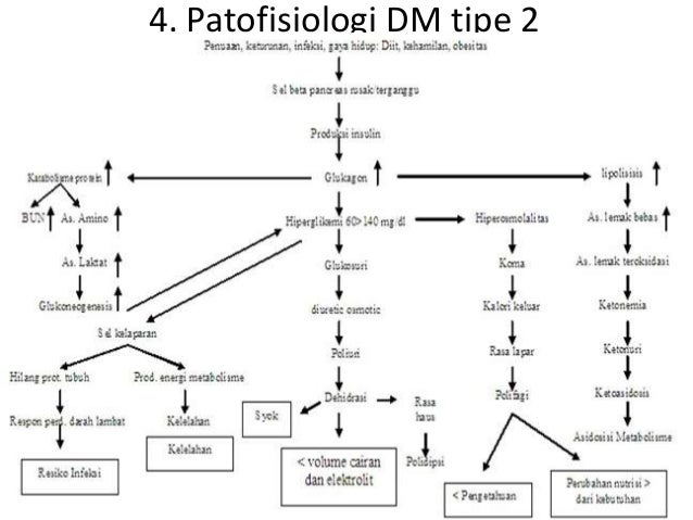 Patofisiologi Diabetes Melitus Tipe 2